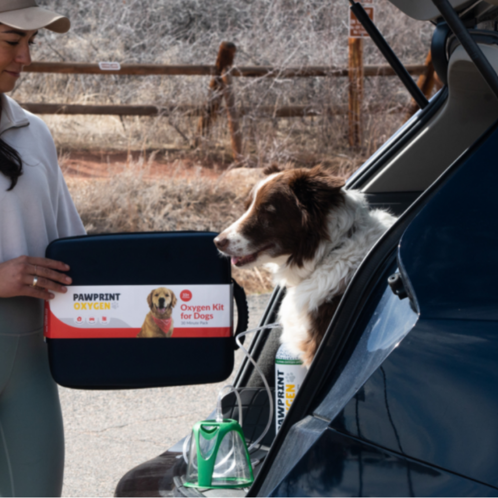 Portable Oxygen Kit for Dogs