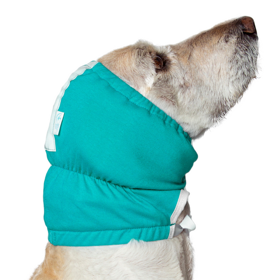 VetMed Solutions Canada