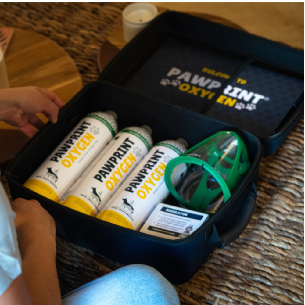Portable Oxygen Kit for Dogs