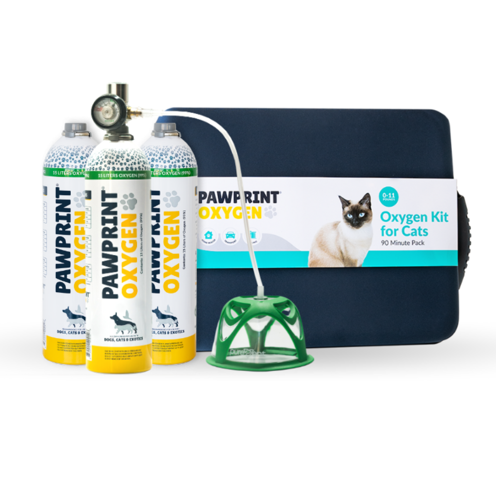 Portable Oxygen Kit for Dogs