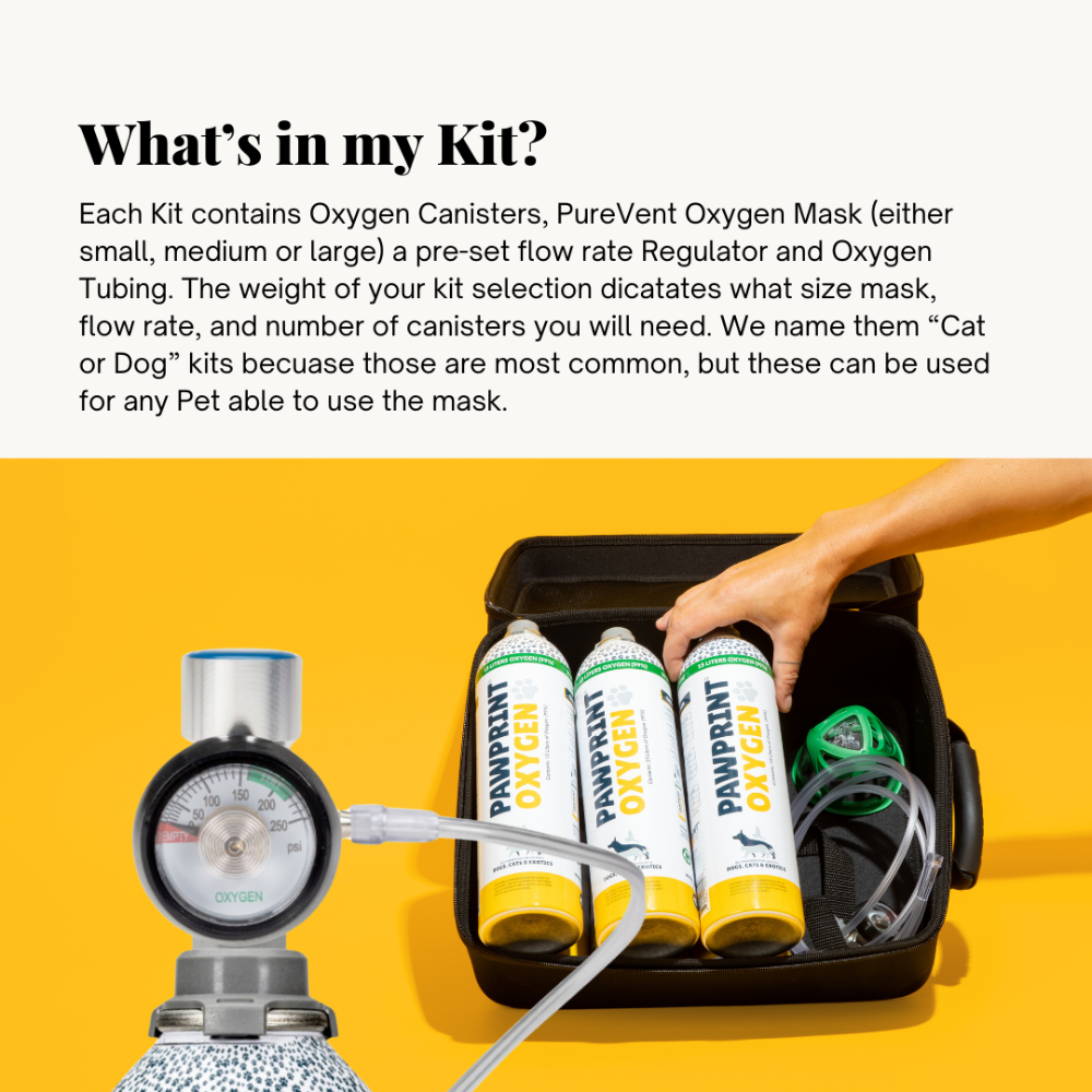Portable Oxygen Kit for Dogs