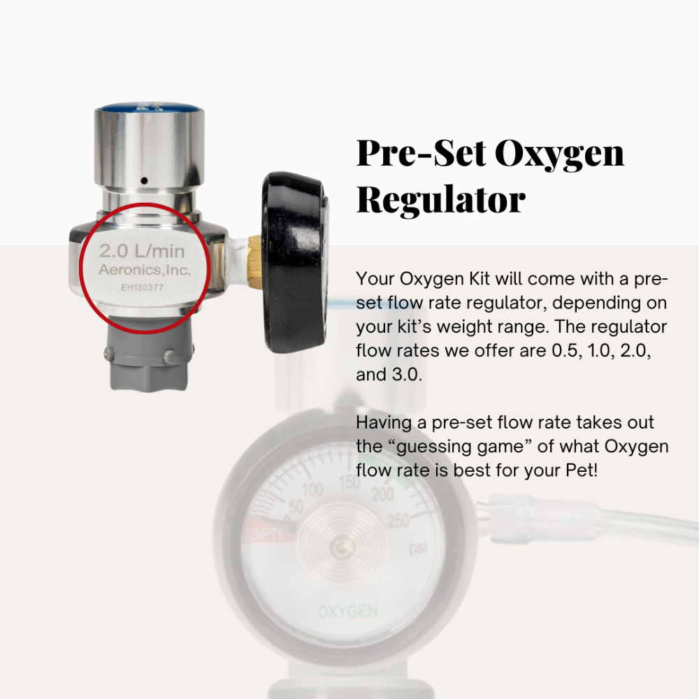 Portable Oxygen Kit for Dogs