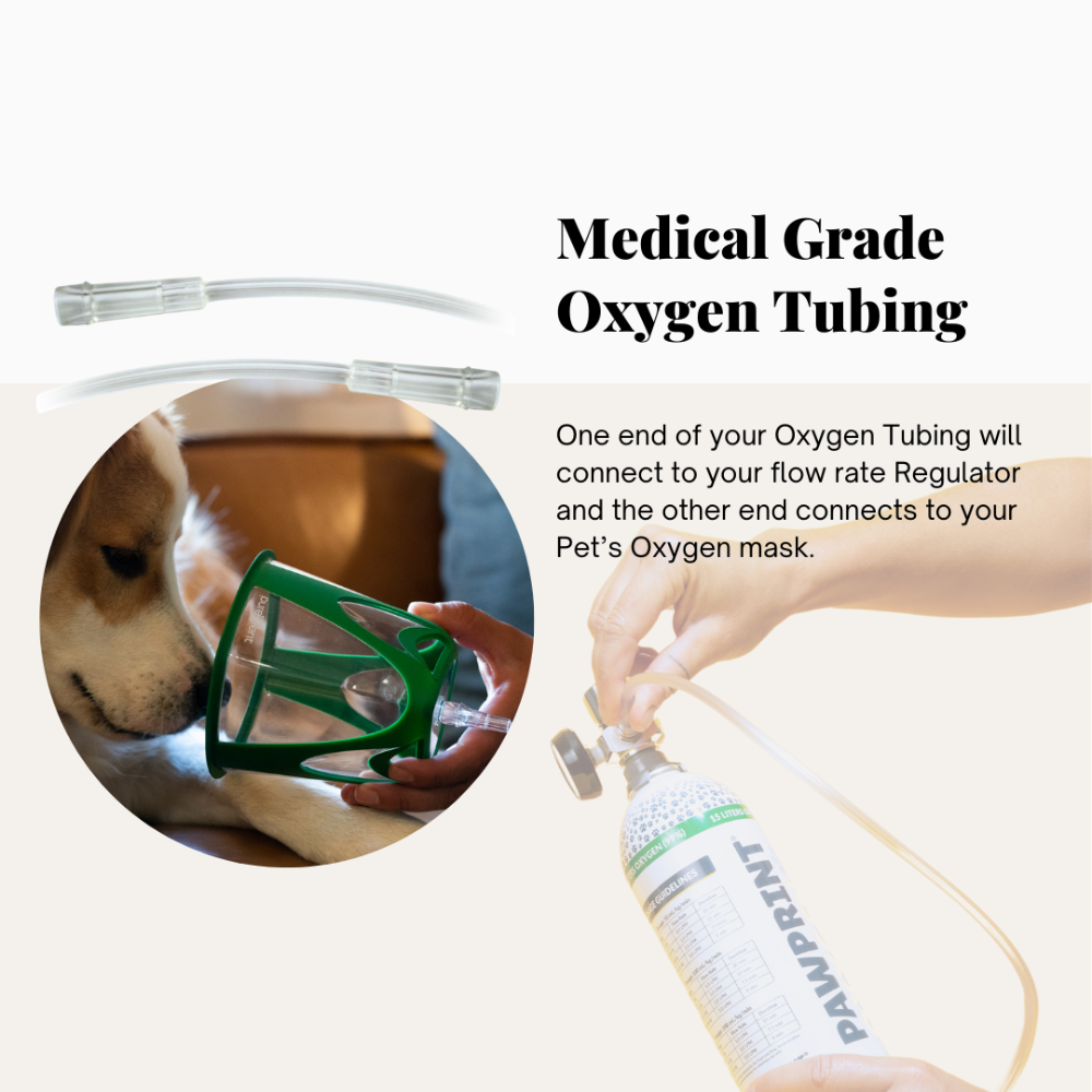 Portable Oxygen Kit for Dogs