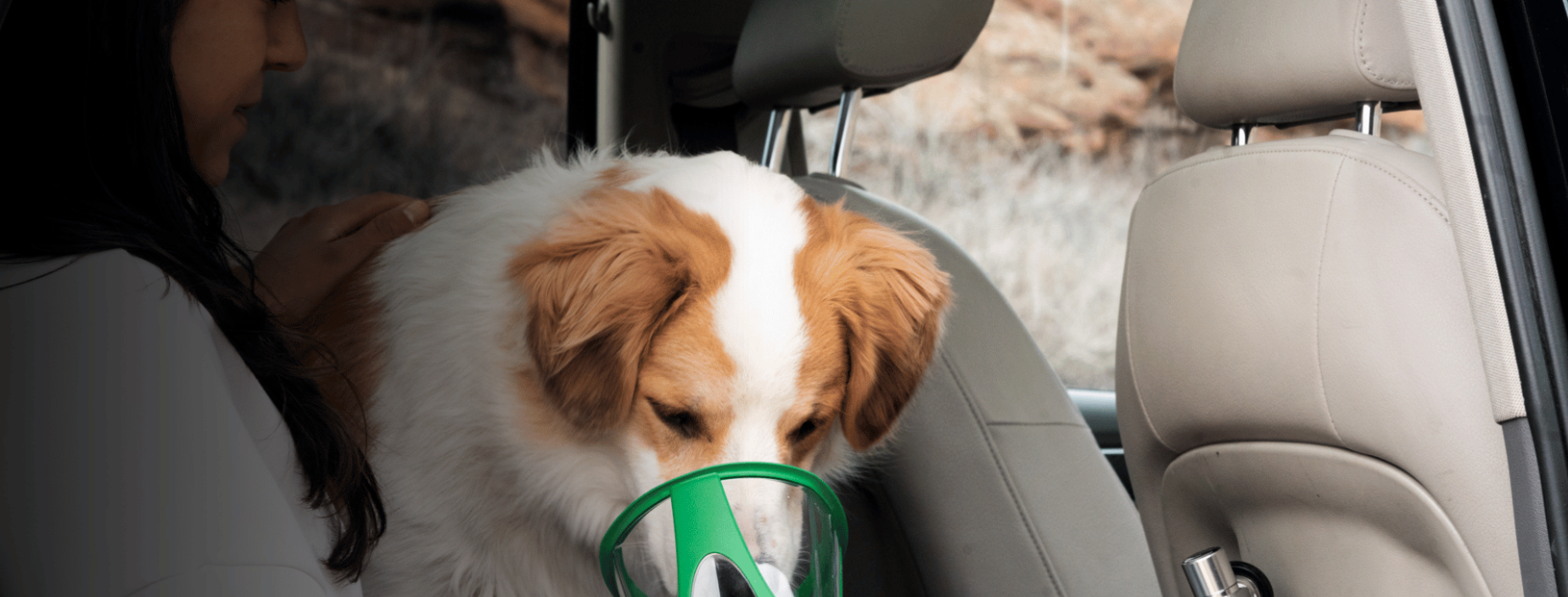 Portable Oxygen Kit for Dogs