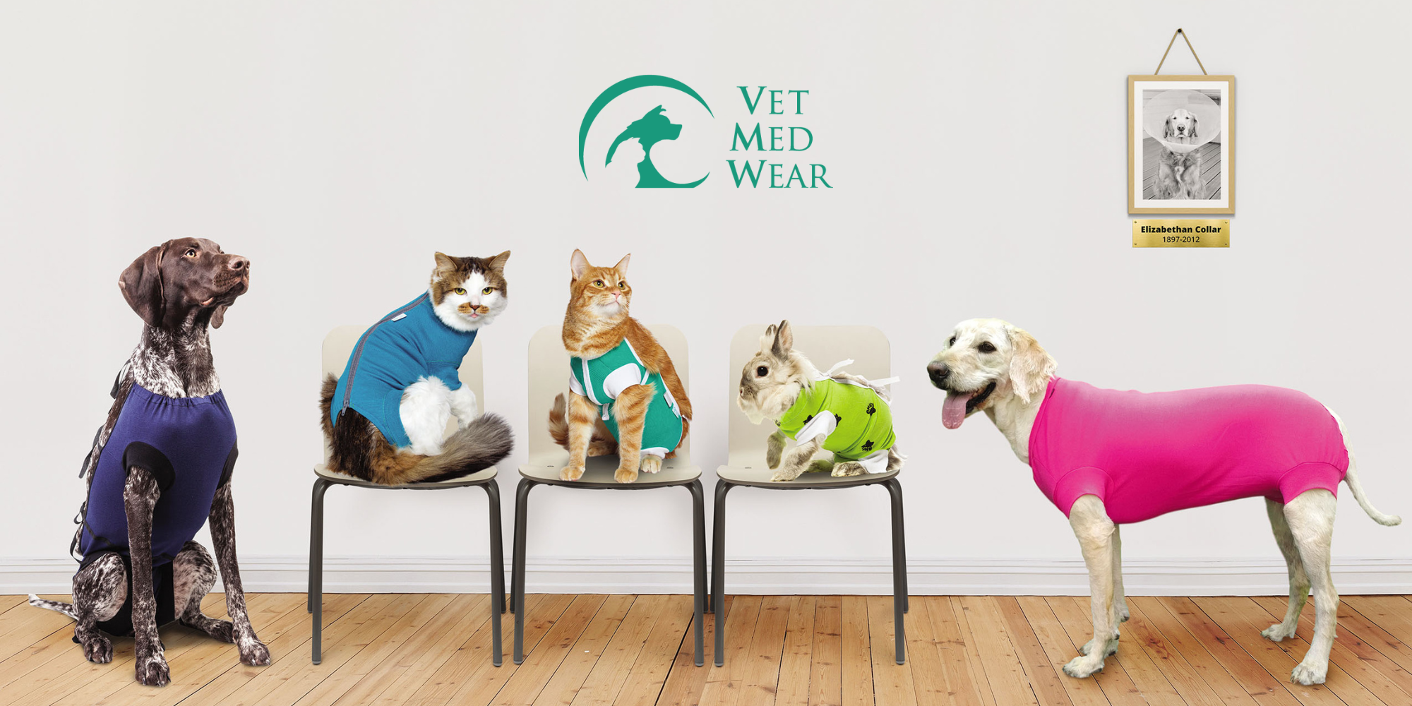VetMed Solutions Canada