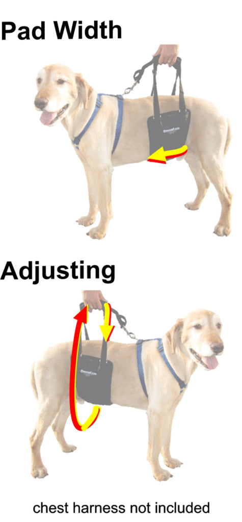 Support Rehabilitation Harness for Dogs (Animal Hospital)